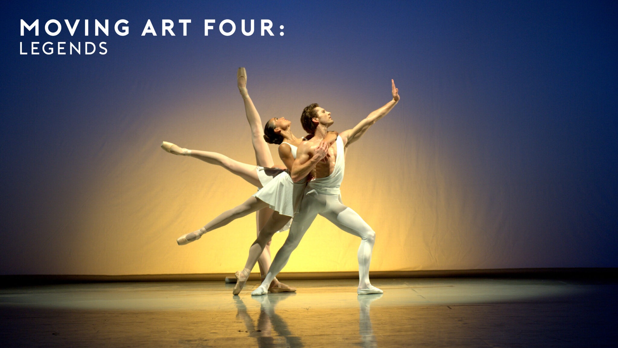Leslie Cheek Theater at the Virginia Museum of Fine Arts - Richmond Ballet